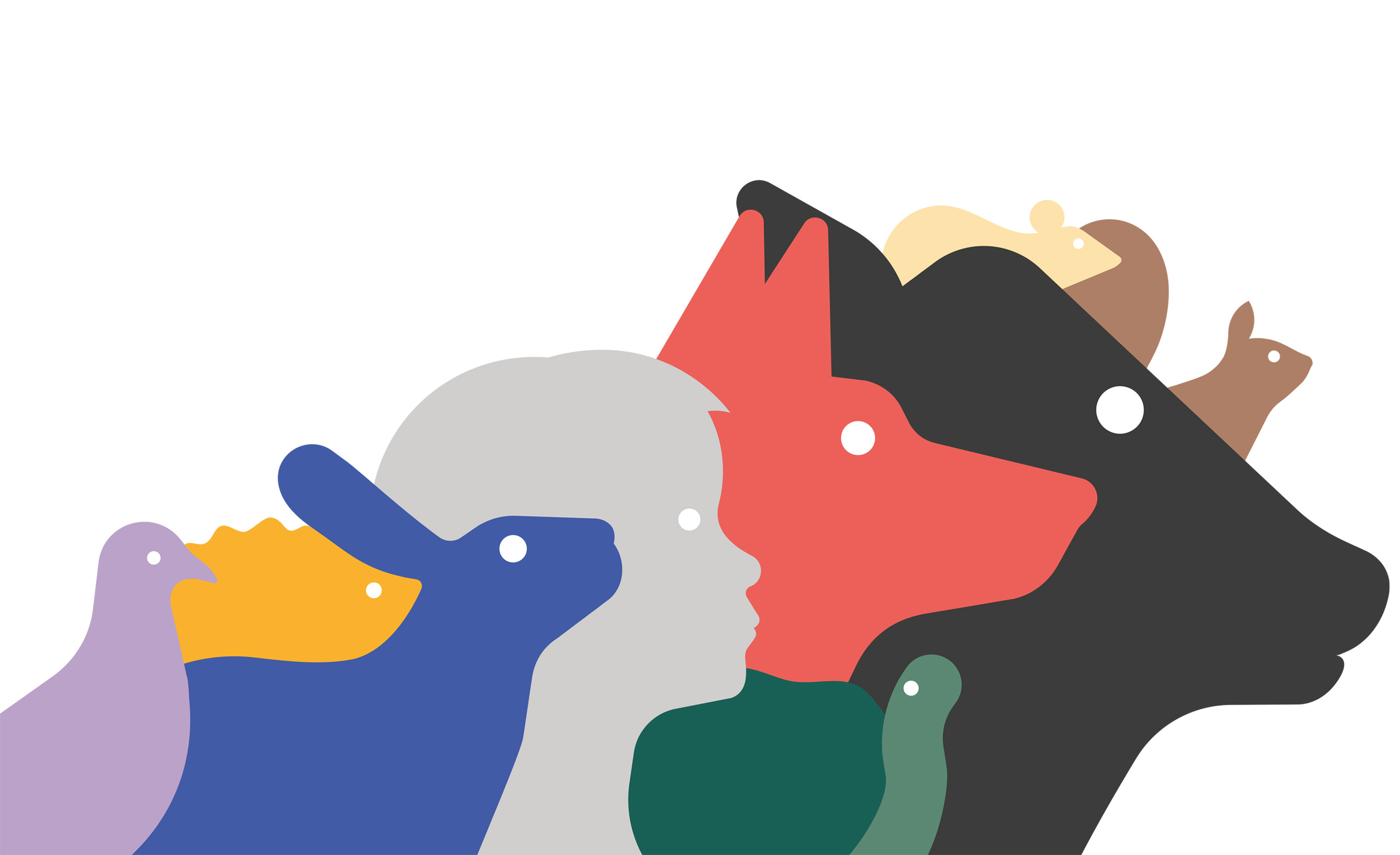 Animals of Manchester